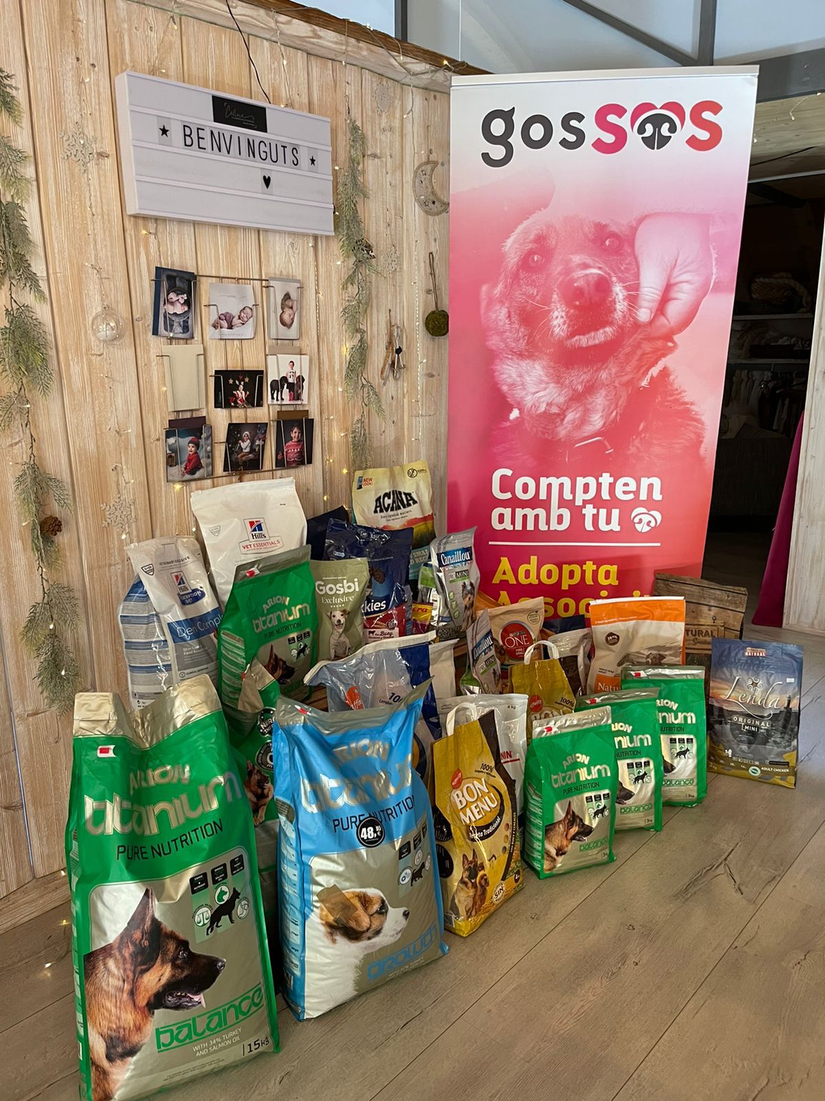 La campanya solidària "El meu gos i jo" de la fotògrafa Céline Pech ...